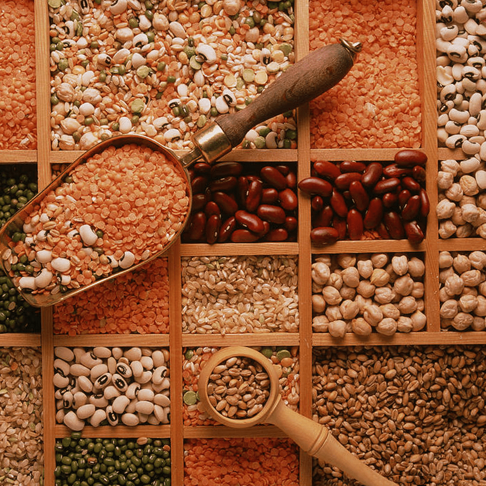 Exploring Indian Pulses: Varieties and Their Nutritional Profiles
